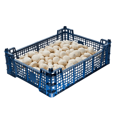 TotalFresh | Fresh Fruits & Veg to your Doorstep